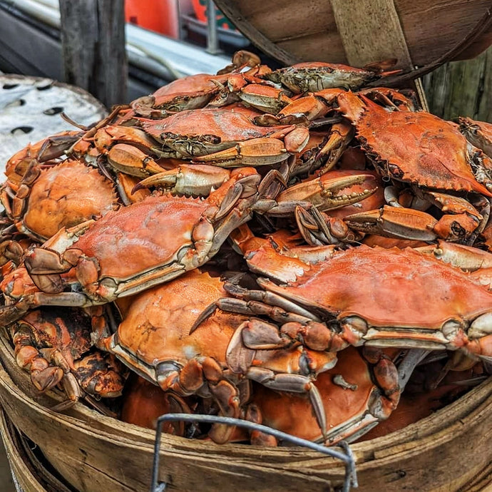 Hampton Seafood Market - Pre Order & Pick Up – Graham & Rollins Hampton ...