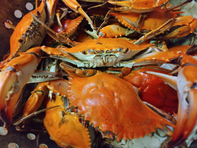 Hampton Seafood Market - Pre Order & Pick Up – Graham & Rollins Hampton ...